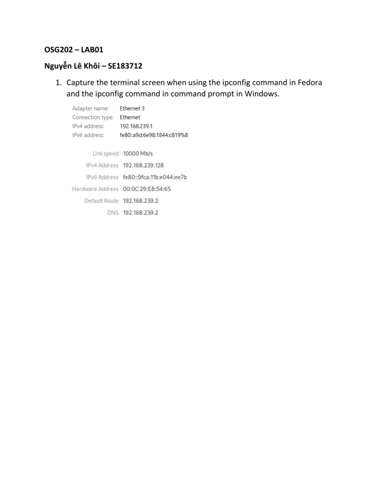 OSG202 Lab Report: Network Configuration & Command Line Tools