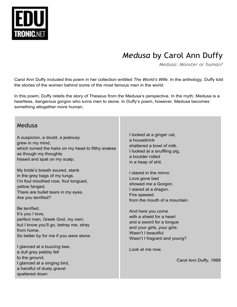Medusa Poem Worksheet: Carol Ann Duffy Analysis