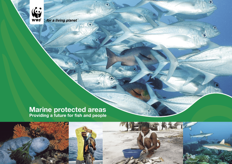 Marine Protected Areas: Benefits & Conservation