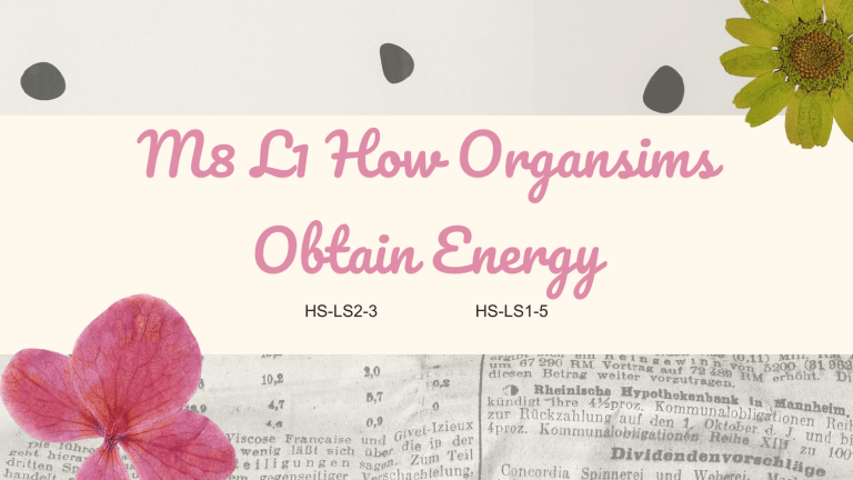 How Organisms Obtain Energy: HS Biology Presentation