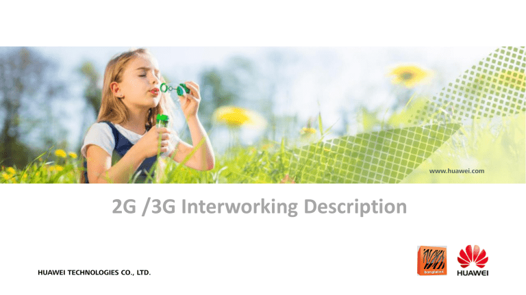 2G/3G Interworking: Network Optimization