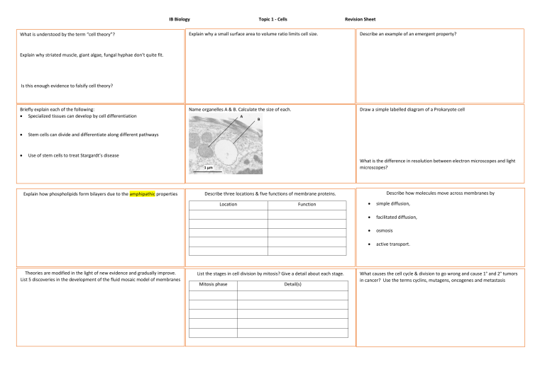 IB Biology Cell Revision Sheet