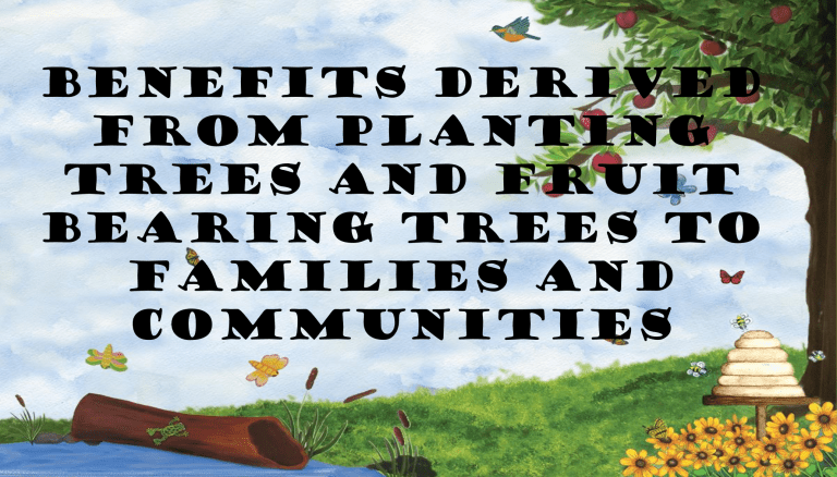 Benefits of Planting Trees: Worksheet for Elementary School